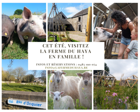Réservez une visite guidée de notre ferme lors de la remise de votre ...