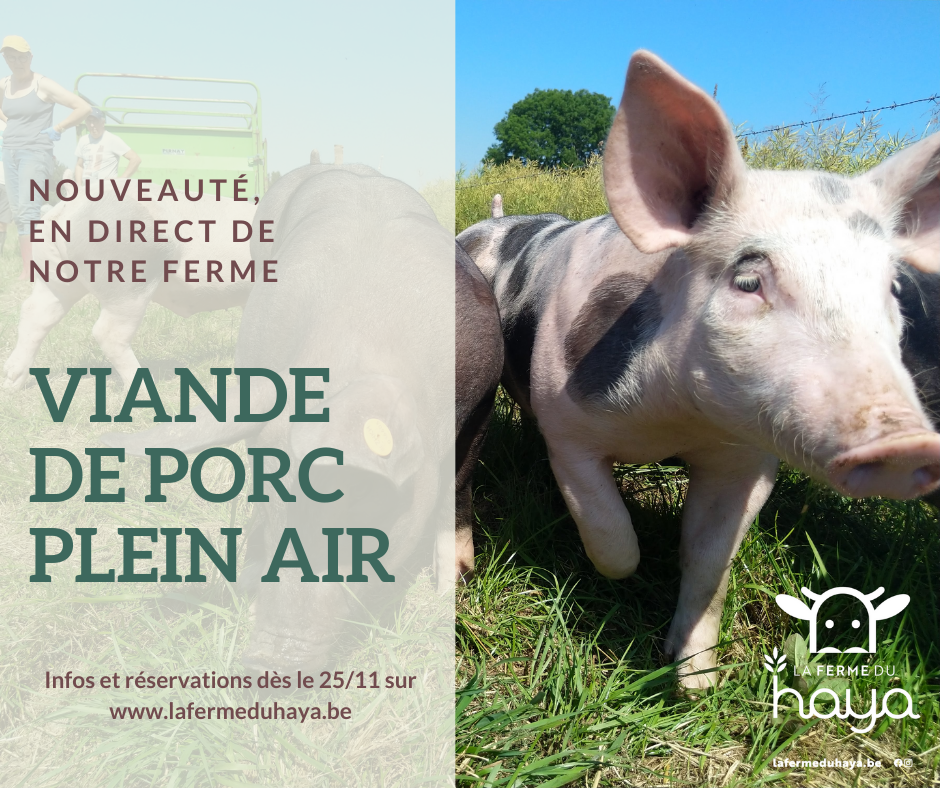 Nouveauté : viande de porc plein air - La Ferme du Haya