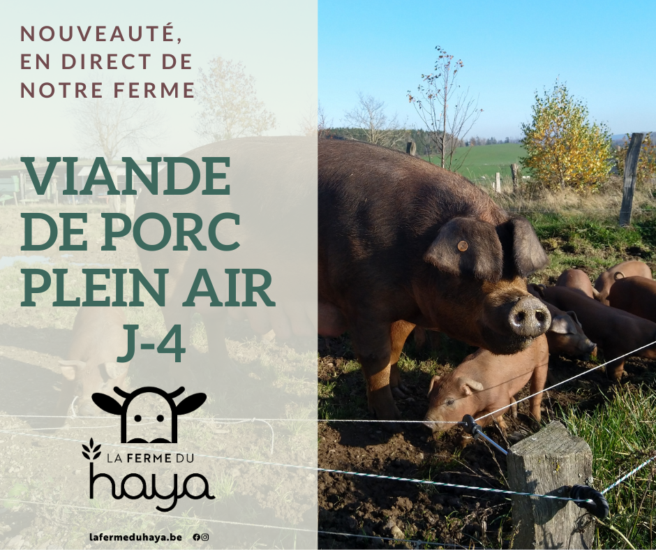 J-4 : viande de porc plein air - La Ferme du Haya