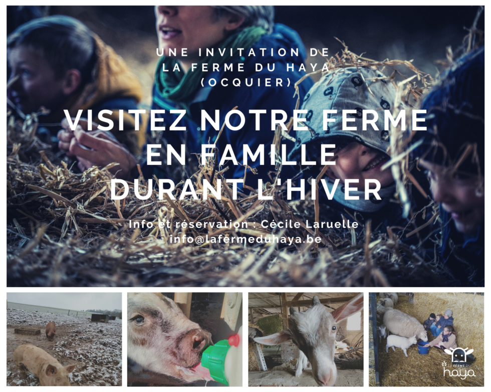 Visitez notre ferme en famille cet hiver - La Ferme du Haya